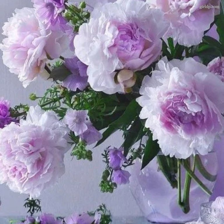 [954]+ Flowers Dp, Images & Wallpapers - Girl DP