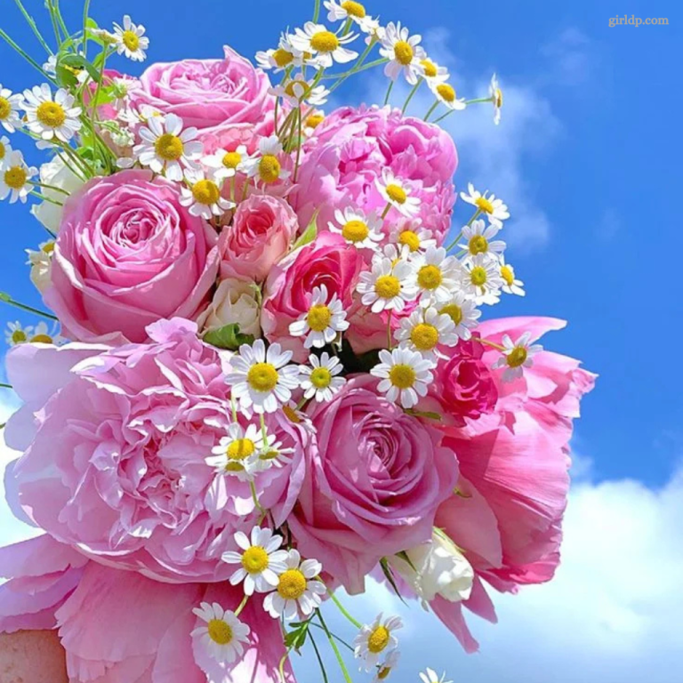 [954]+ Flowers Dp, Images & Wallpapers - Girl DP