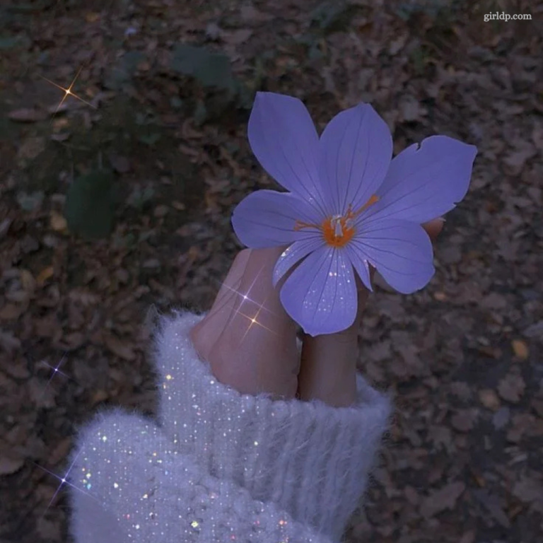 [954]+ Flowers Dp, Images & Wallpapers - Girl DP