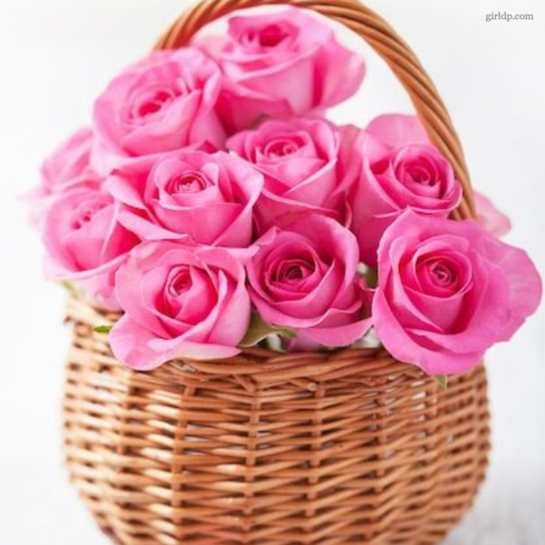 [954]+ Flowers Dp, Images & Wallpapers - Girl DP