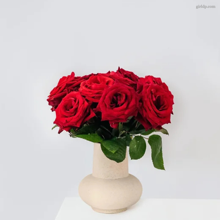 [954]+ Flowers Dp, Images & Wallpapers - Girl DP